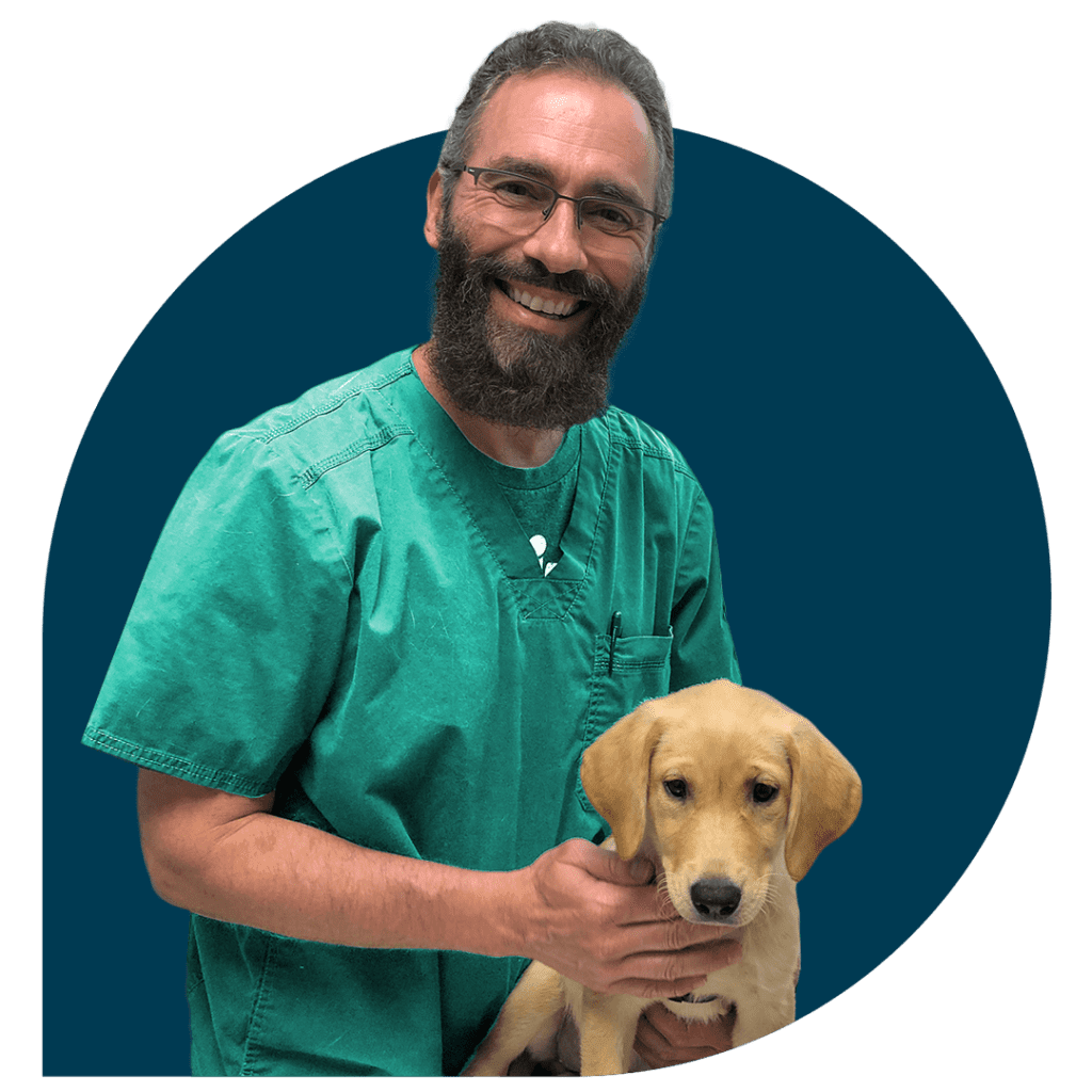 Online Veterinarians | Virtual Veterinary Care