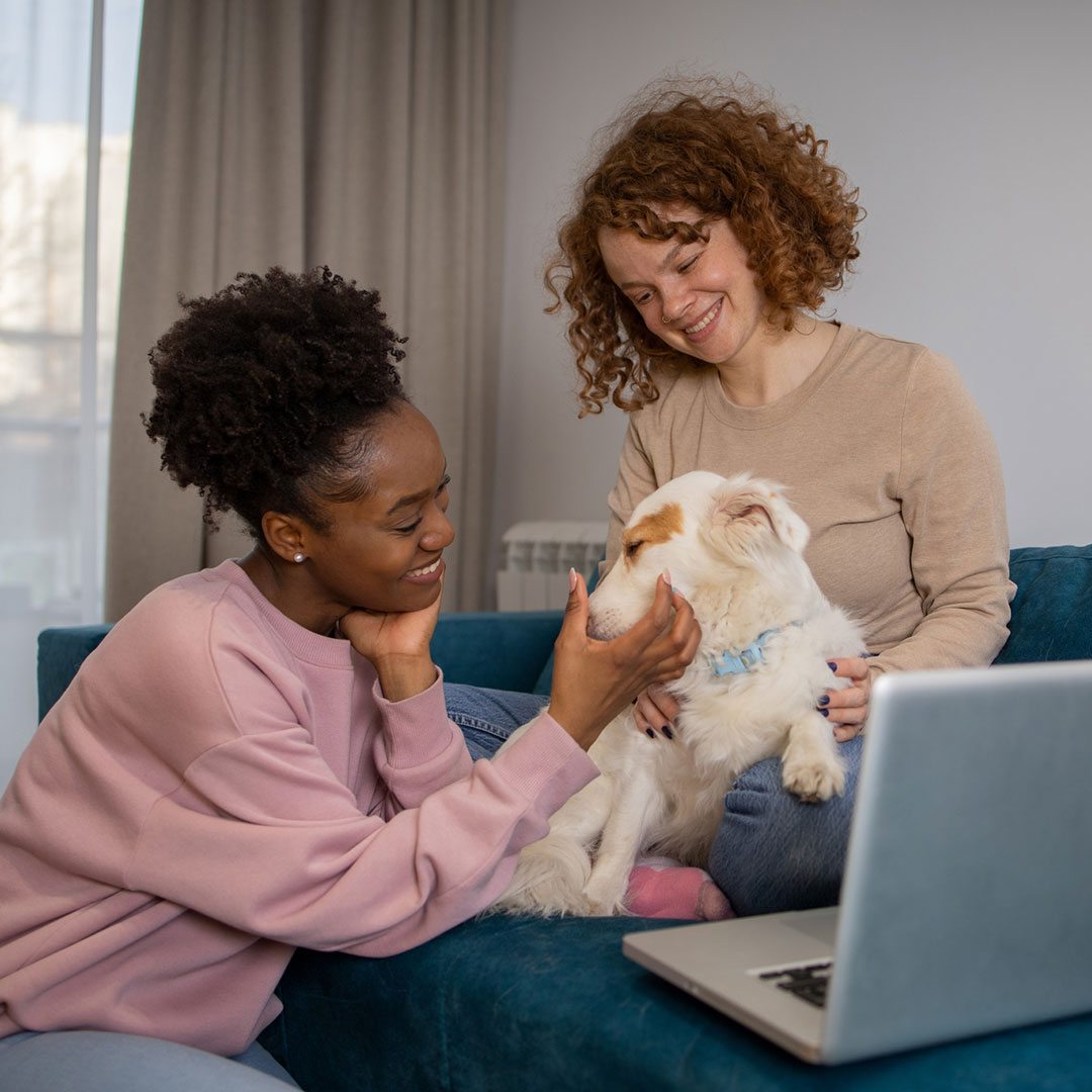 What is Virtual Veterinary Care? | Virtual Veterinary Care